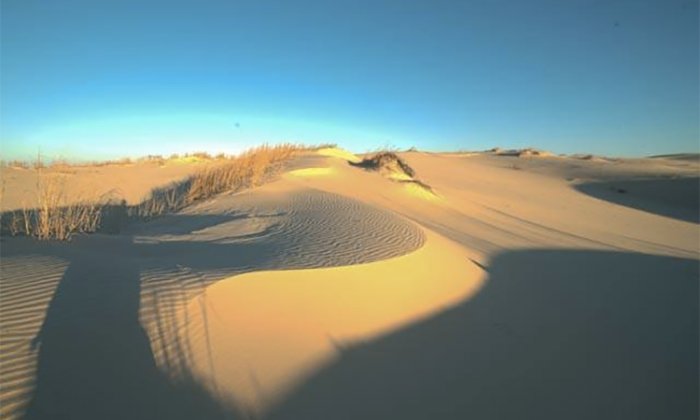 Explore These Amazing Sand Dunes in Monahan While Social Distancing